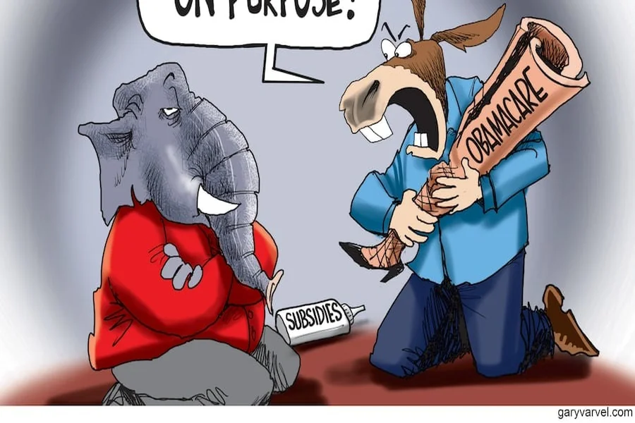 Bill of Rights Political Cartoon Meaning in Modern America